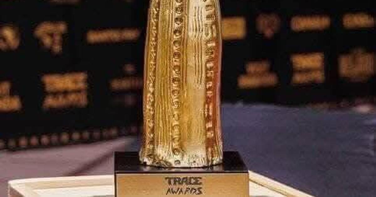Didi B, Himra..., 4 ivoiriens raflent des prix aux Trace Music Awards ...