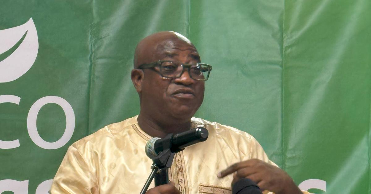 Environment minister raises alarm over Africa’s climate crisis, calls ...
