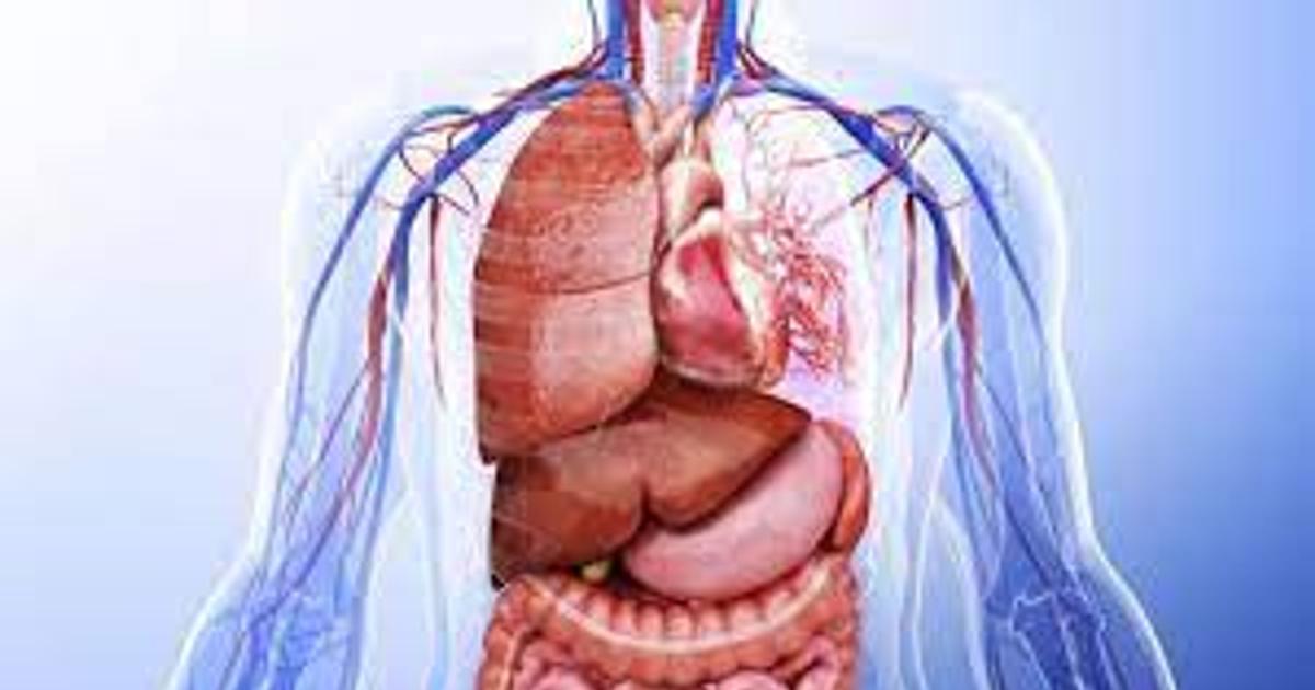 Did you know that you can survive without some of your human organs ...