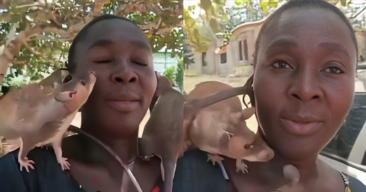 Asafo Maame Florence, the Ghanaian woman who raises rats, loves them ...