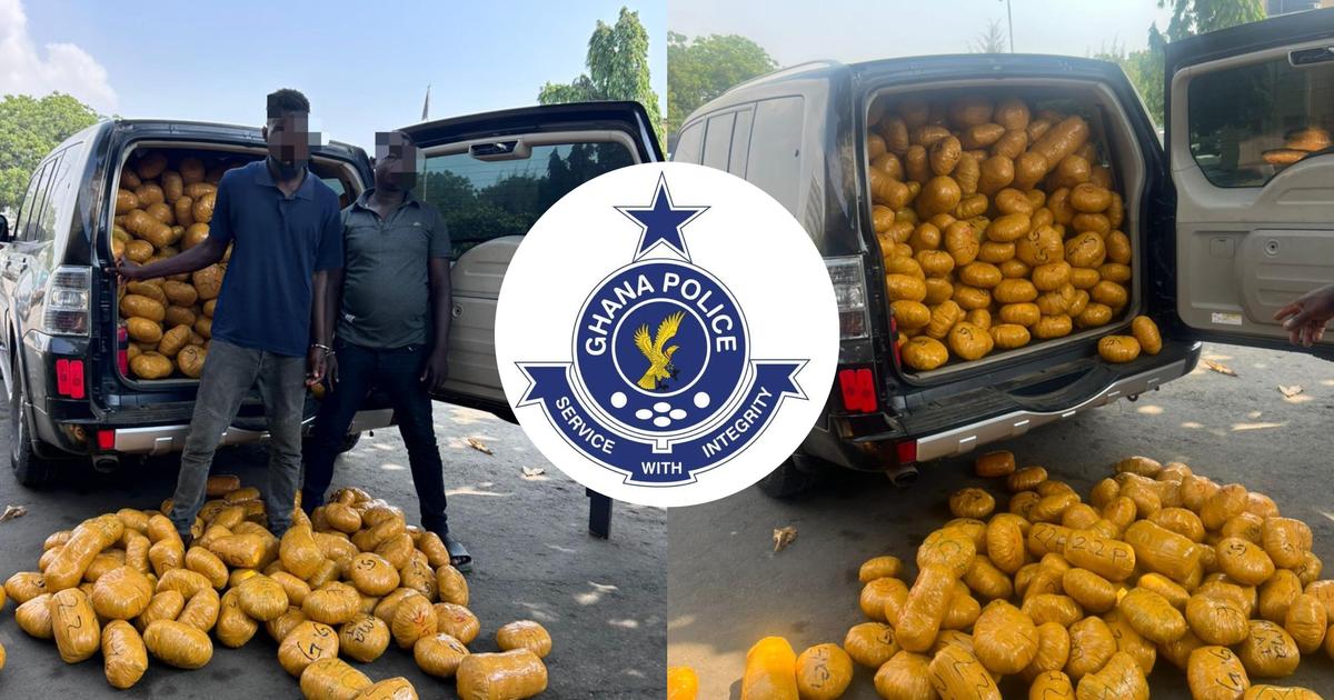 Over 1,600 parcels of suspected narcotic drugs seized by Tema police ...