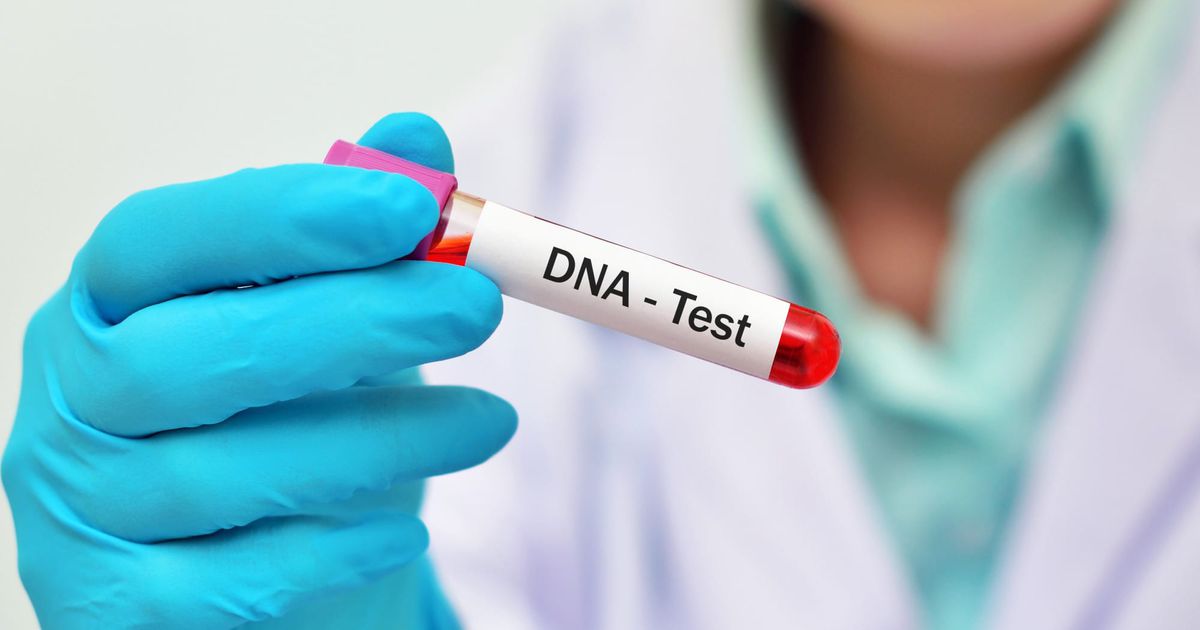 Man fakes DNA test to avoid taking care of his kids | Pulse Ghana