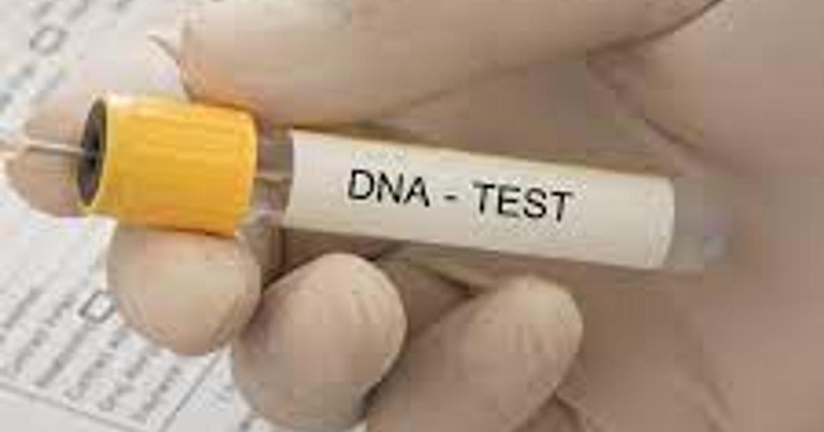 Countries With the Highest Paternity Fraud Rates – Global Statistics ...