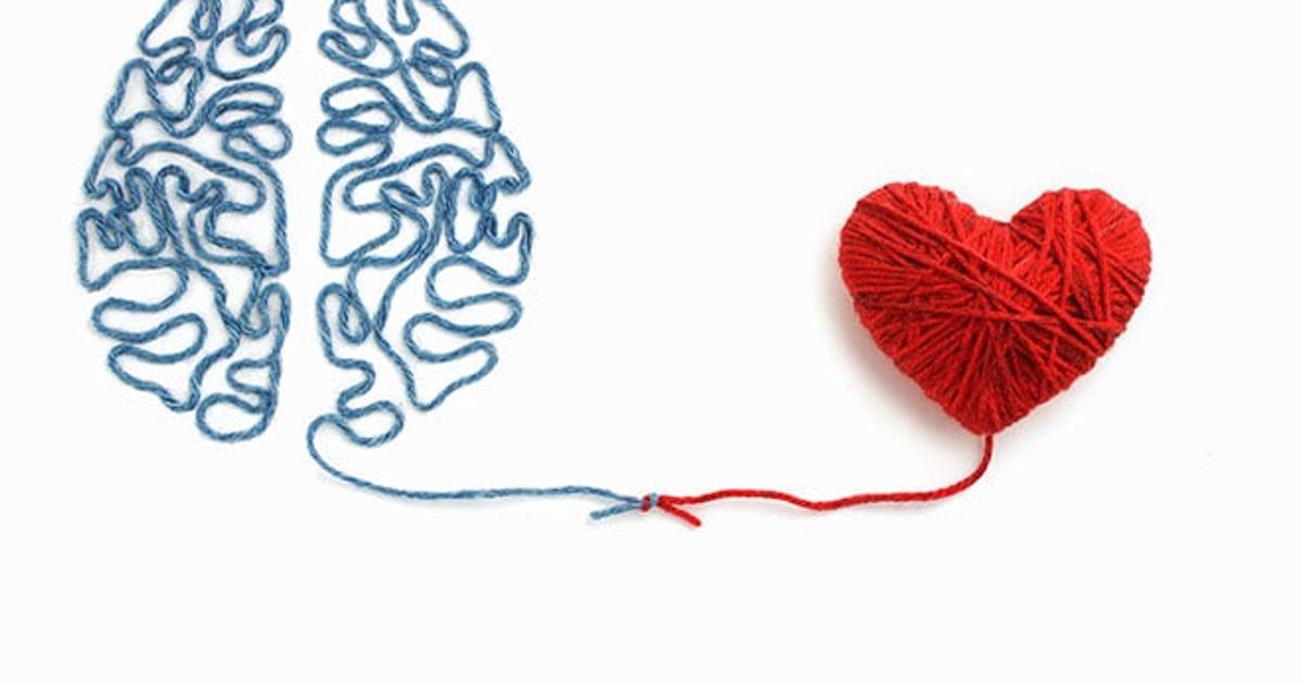 How to Know If You Are Sapiosexual: Signs That You’re Attracted to ...