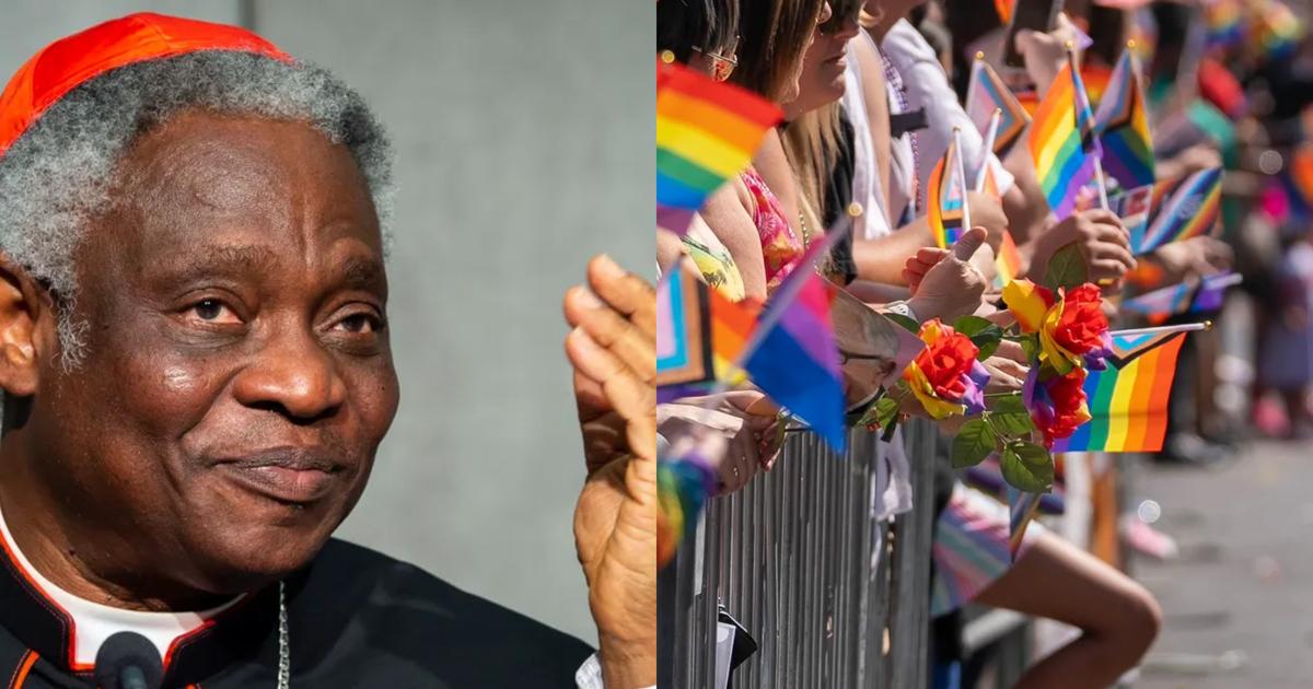 Cardinal Turkson’s stance on homosexuality resurfaces amid Pope rumours ...