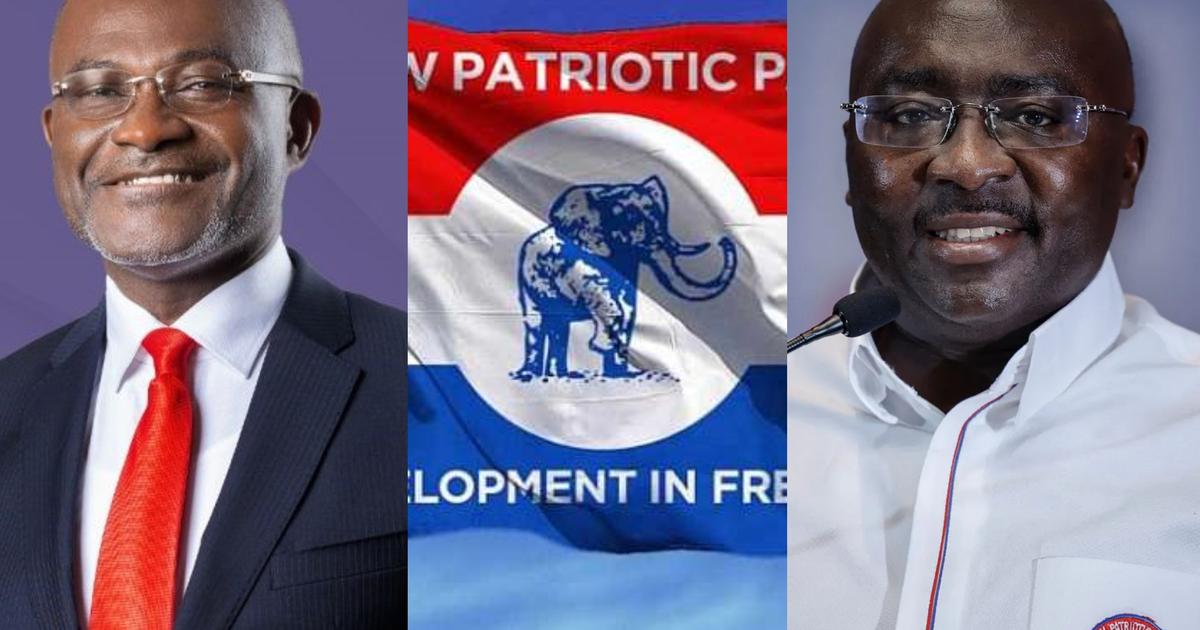 NPP flagbearer race: 4 prominent names that have emerged so far for ...