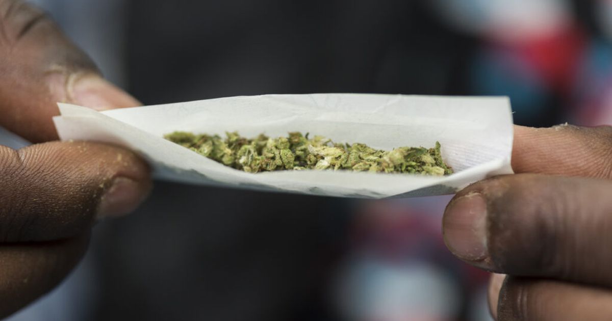 On Colos: The side effects of smoking colorado marijuana | Pulse Nigeria