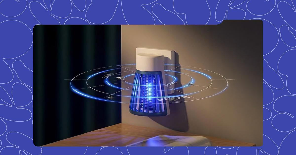 Can Blue Light Kill Mosquitoes? Here’s What to Know | Pulse Nigeria