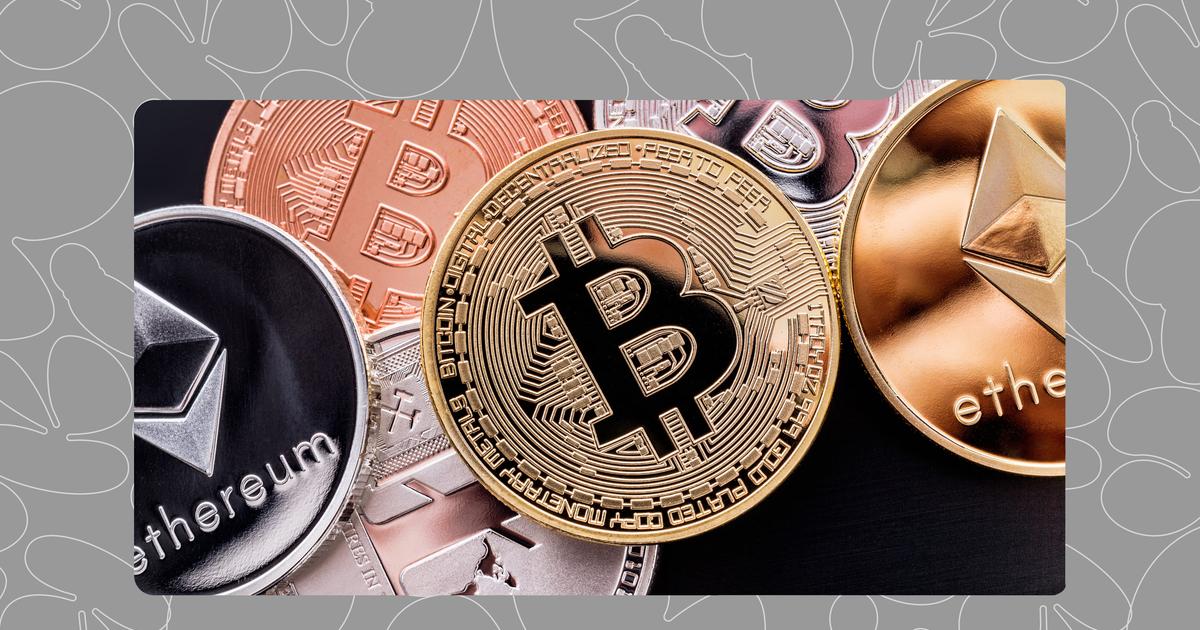 9 Best Cryptocurrency Wallets for Nigerians | Pulse Nigeria