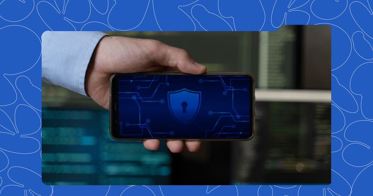 7 Smart Ways to Stop Scammers From Hacking Your Bank Account | Pulse ...