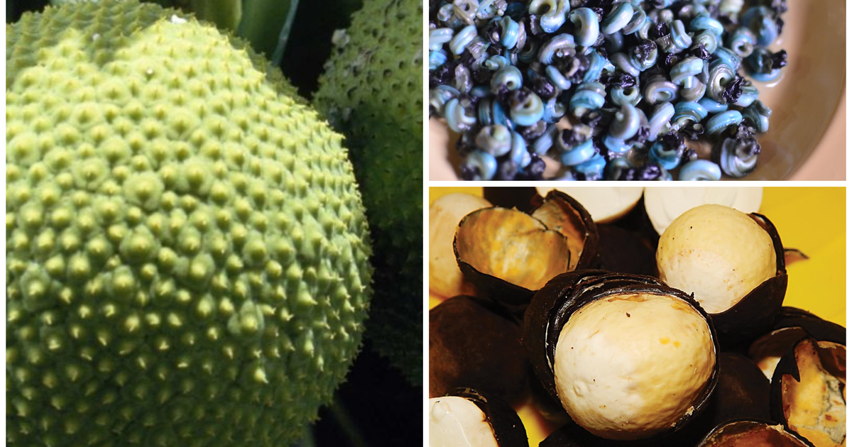 12 High-Protein Nigerian Foods You Should Be Eating | Pulse Nigeria