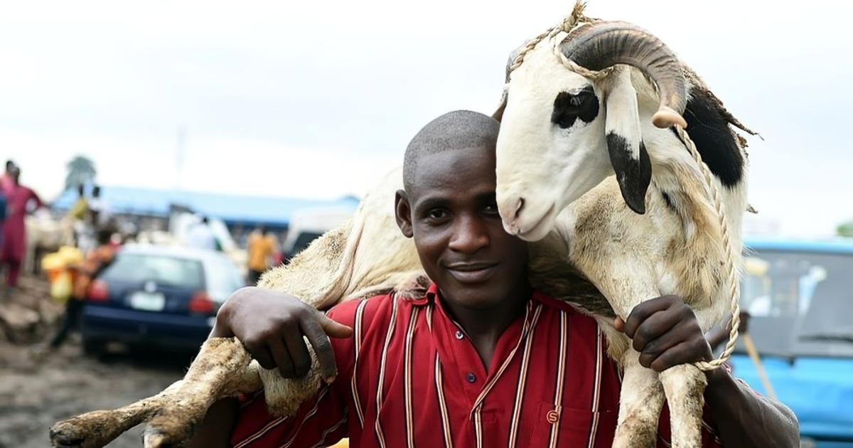 Sallah 2026: Federal Government announces 2-day public holiday for Eid ...