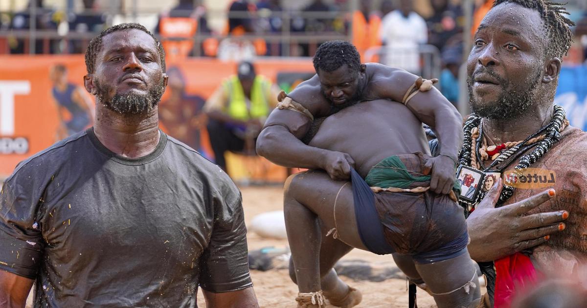 Combat Balla Gaye-Siteu : L'arbitre Waly Diouf défend sa décision ...