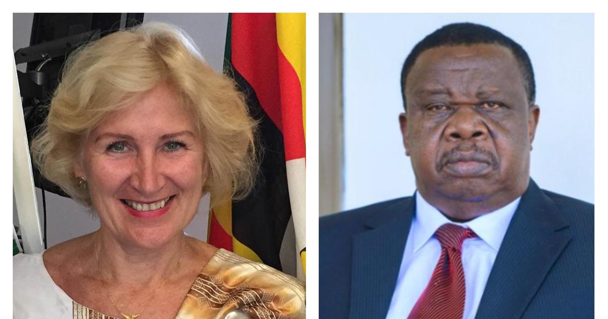 Leaked phone call between Gen Otafiire, Ambassador Mirjaam Blaak ...