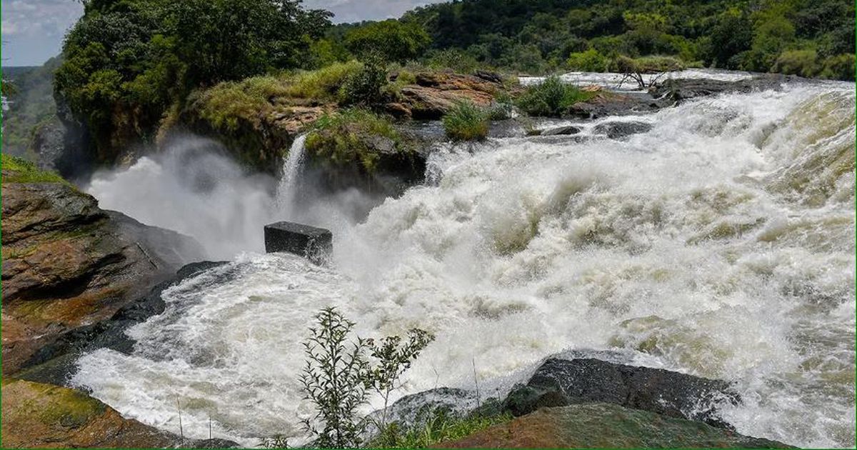 Murchison Falls to get glass bridge, new luxury hotels | Pulse Uganda