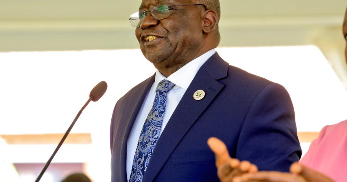 2025 PLE results released | Pulse Uganda