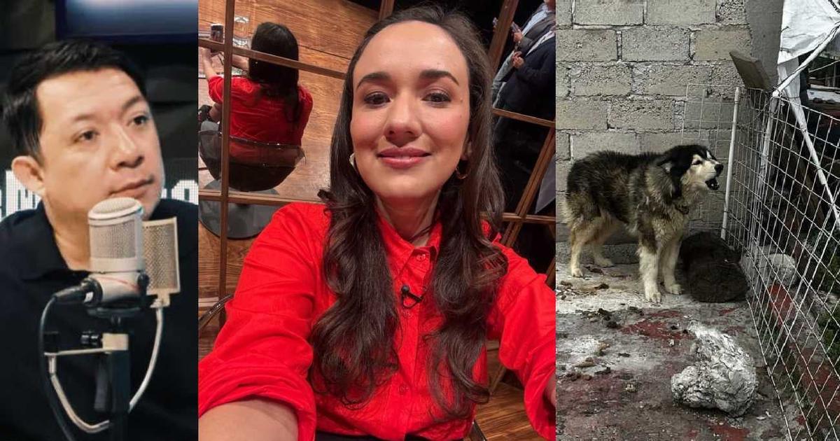 ¿Periodistas a la cárcel por salvar a perro abandonado en Azcapotzalco ...