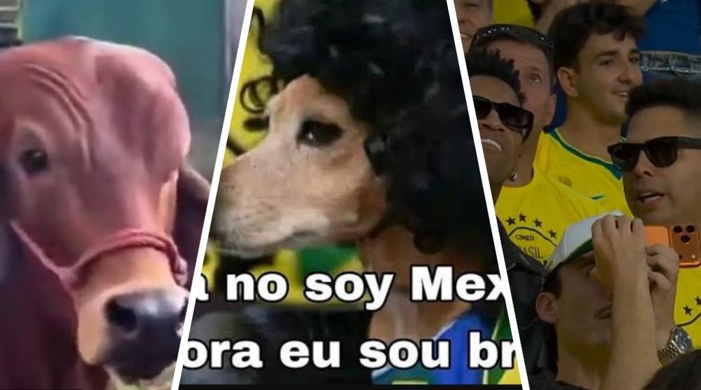 Los mejores memes del Brasil contra Marruecos | RÉCORD