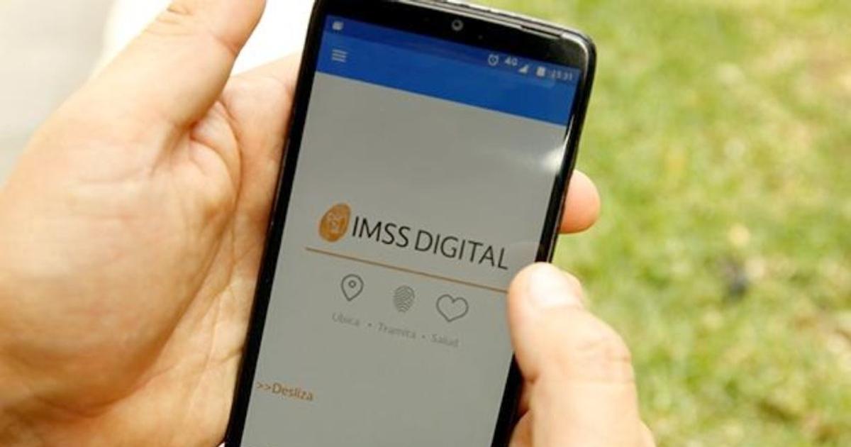 Códigos QR del IMSS para facilitar servicios: ¿Cómo funcionan y qué ...