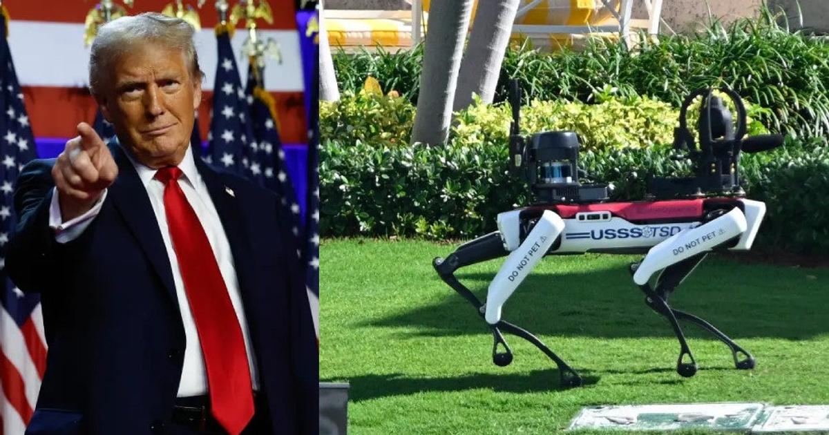Donald Trump refuerza la seguridad en su casa en Mar-a-Lago con perros ...