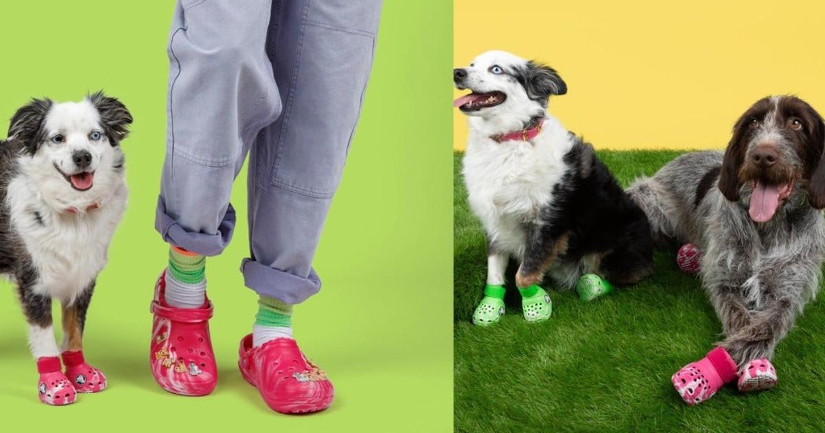 Crocs lanza ‘Pet-crocs’, una colección para perritos con estilo | RÉCORD
