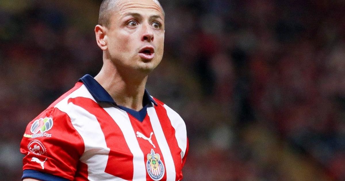 ¡Sin piedad! Ricardo Peláez y Paco Gabriel de Anda 'acaban' a ...
