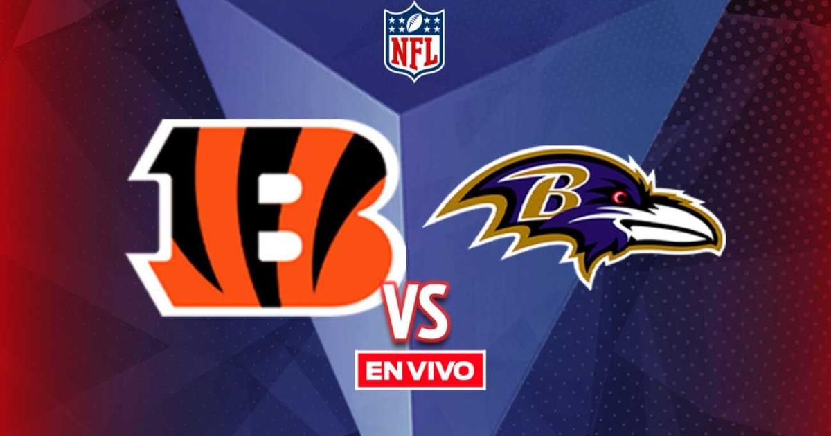 Cincinnati Bengals vs Baltimore Ravens EN VIVO Semana 13 NFL ...