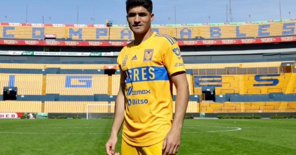Nico Ibáñez, respalda a su extécnico: "Guillermo Almada es buena opción ...
