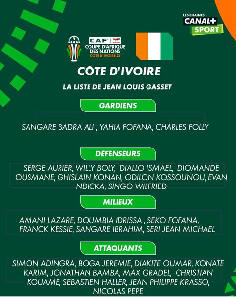 AFCON 2023: Ivory Coast national football team – Guide, key players ...