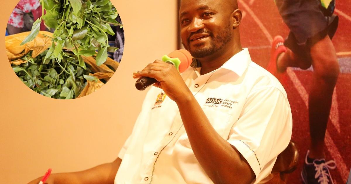 Why Anti-Doping Agency of Kenya is happy with muguka ban | Pulse Sports ...