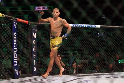Alex Pereira UFC: Stats, Career, Net Worth, Age, Wins | Pulse Sports ...