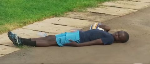 "Quick, everyone down" - Dramatic scene as bee swarm attacks ...