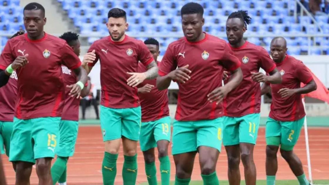 Zimbabwe - Latest team news & updates - Pulse Sports Nigeria