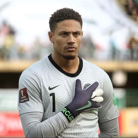 Maduka Okoye: Udinese coach lauds Super Eagles reject after deserved ...