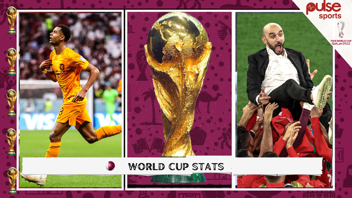 The most important stats from the 2022 World Cup so far | Pulse Sports ...