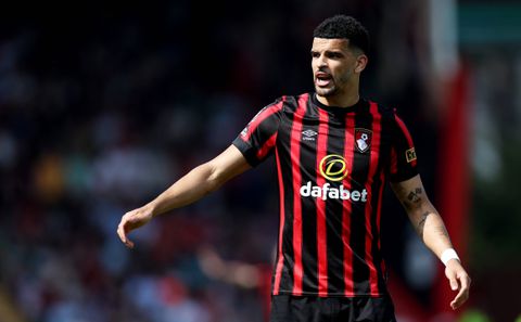 Dominic Solanke Net Worth: Nationality, Parents, Wife, Age, Height ...