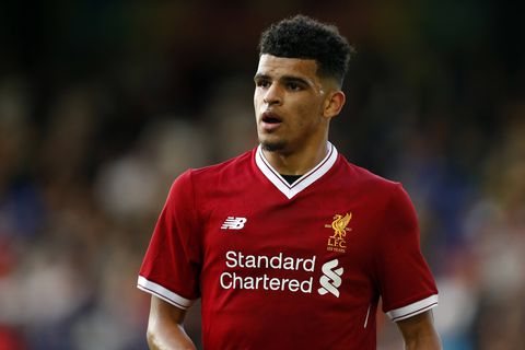 Dominic Solanke Net Worth: Nationality, Parents, Wife, Age, Height ...