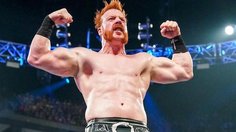 Sheamus Net Worth: Profile, Age, WWE Achievements, Wife, Salary, Theme ...