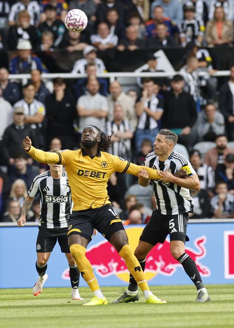 Super Eagles striker Tolu Arokodare and Wolves in danger of setting ...