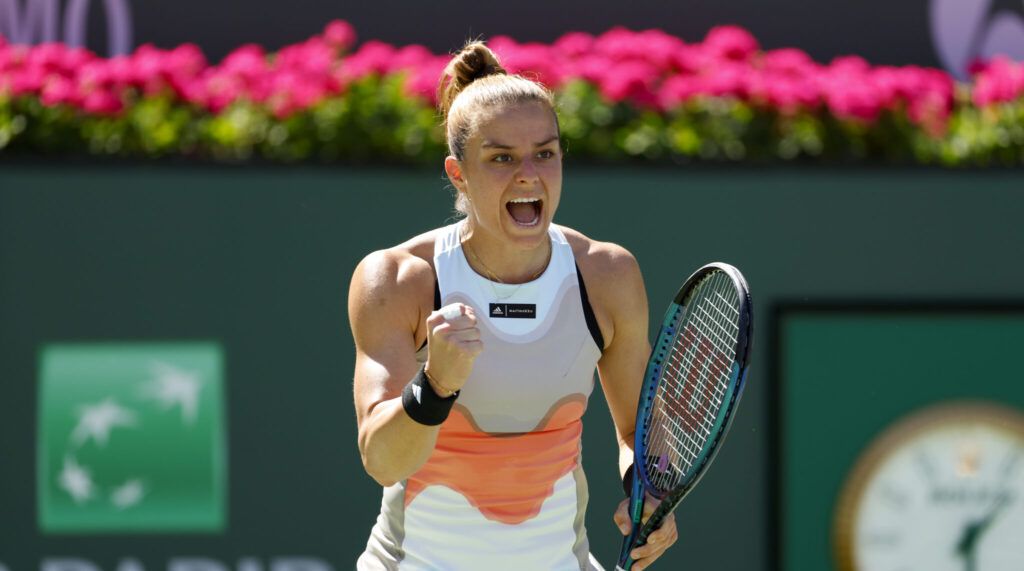 Indian Wells 2023: A look into the WTA semifinalists | Pulse Sports Nigeria