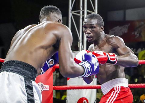 National team boxers out to save face as boxing league returns | Pulse ...