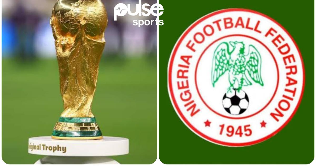 FIFA Ban: The day Nigeria was suspended from international football ...