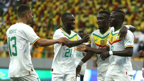 AFCON 2025: Group D full squads | Pulse Sports Nigeria