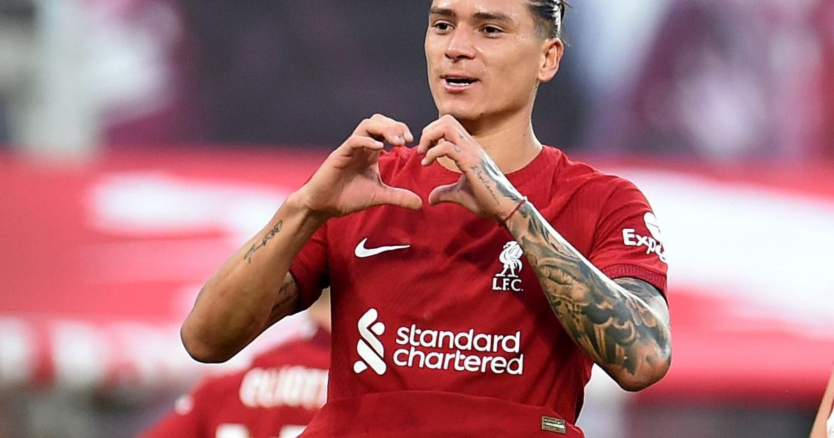 Darwin Nunez: Profile, Background & Career Achievements | Pulse Sports ...