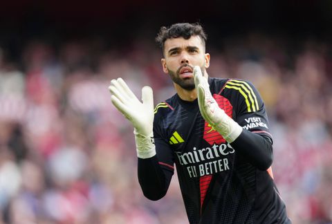 David Raya Net Worth: Girlfriend, Profile, Age, Height, Stats, Contract ...