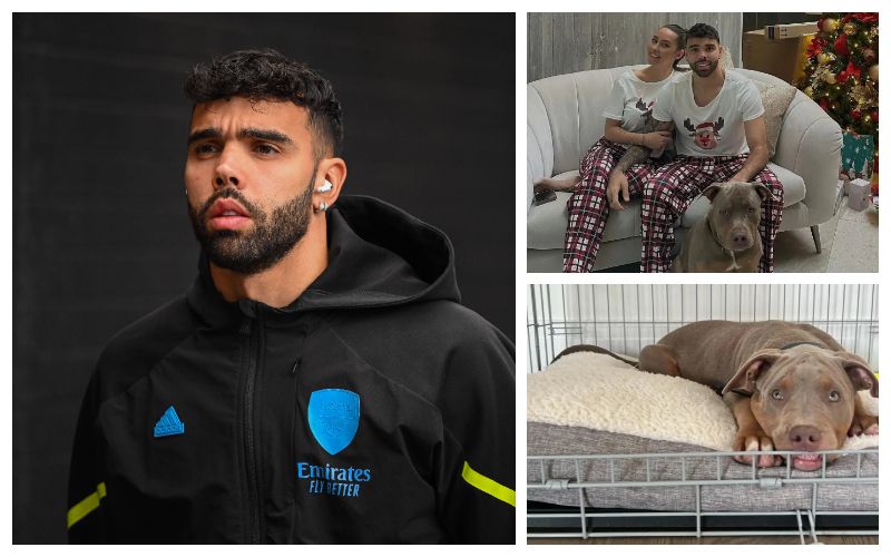 Arsenal goalkeeper David Raya acquires banned dog breed for protection ...
