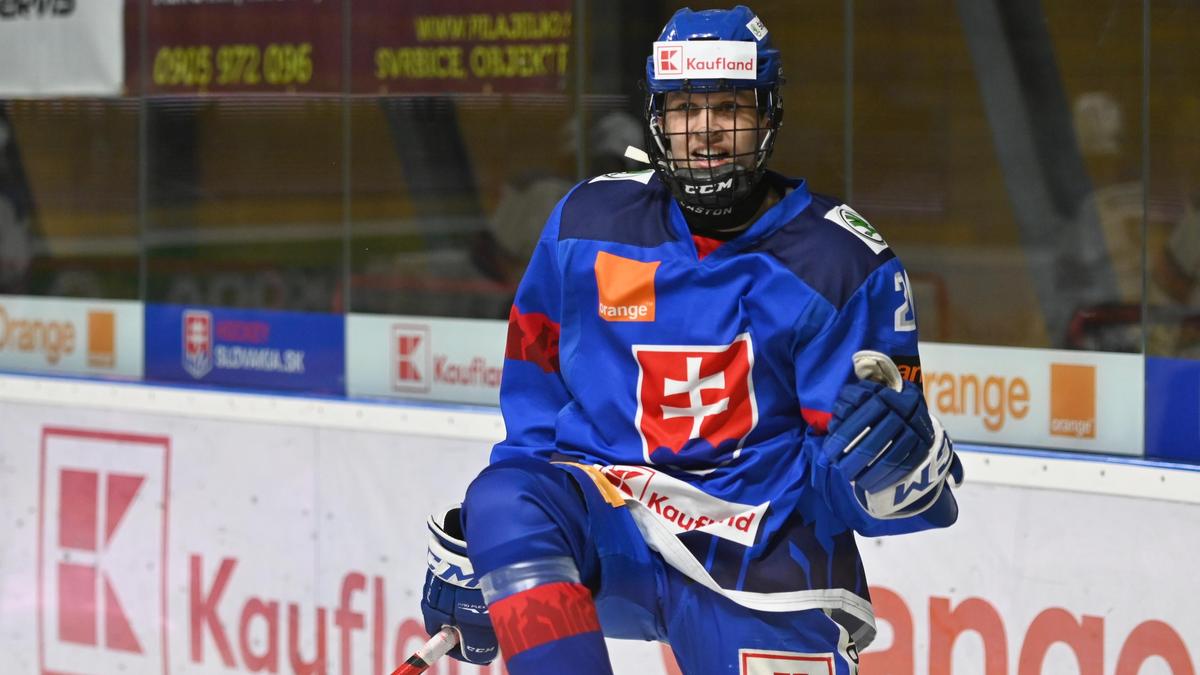 Hokej - Peter Repčík dostal pozvánku do kempu tímu NHL | Šport.sk