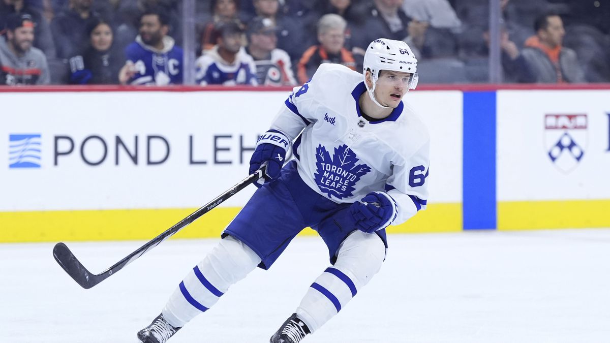 Český útočník po špekuláciách ostáva v NHL. Vybral si tím, v ktorom ...