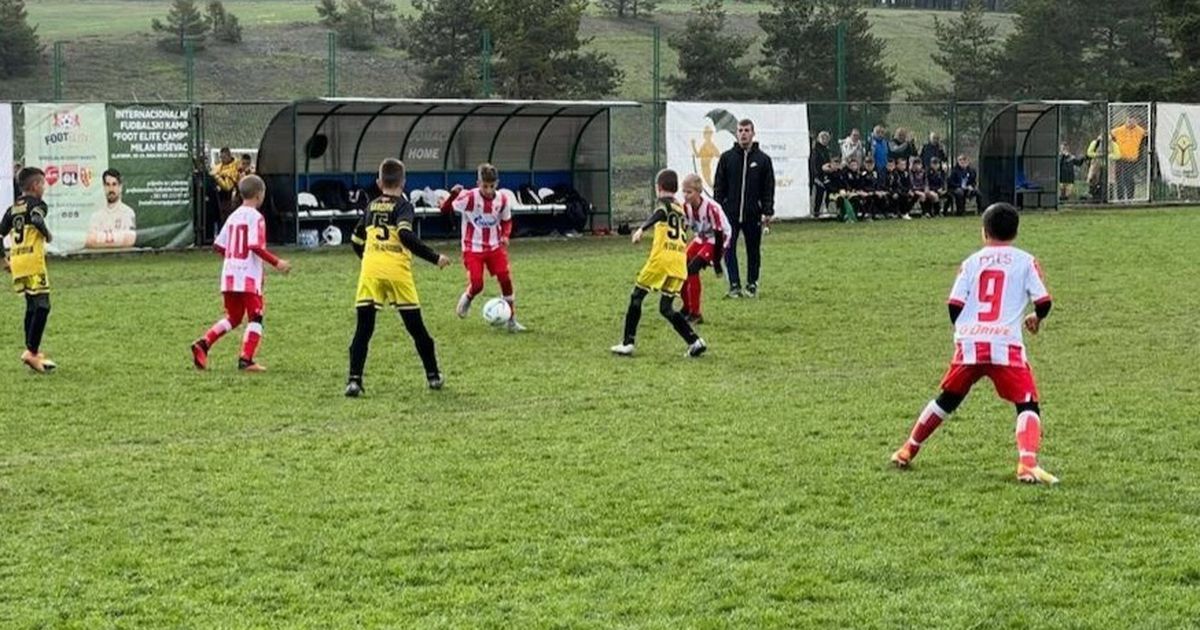 Zvezda, Vojvodina, Čukarički... Samo Partizan nije došao: "Zlatibor kup ...
