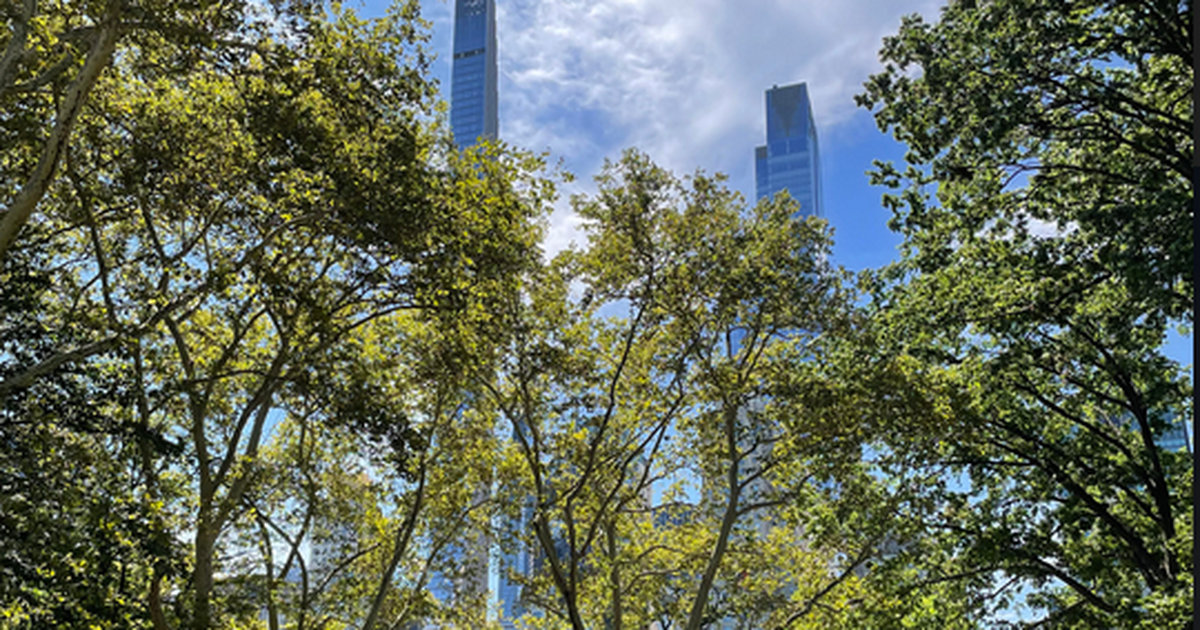 "Kako mislite nemate Jokićev dres?" Sportal u Njujorku: Perece, hot dog ...